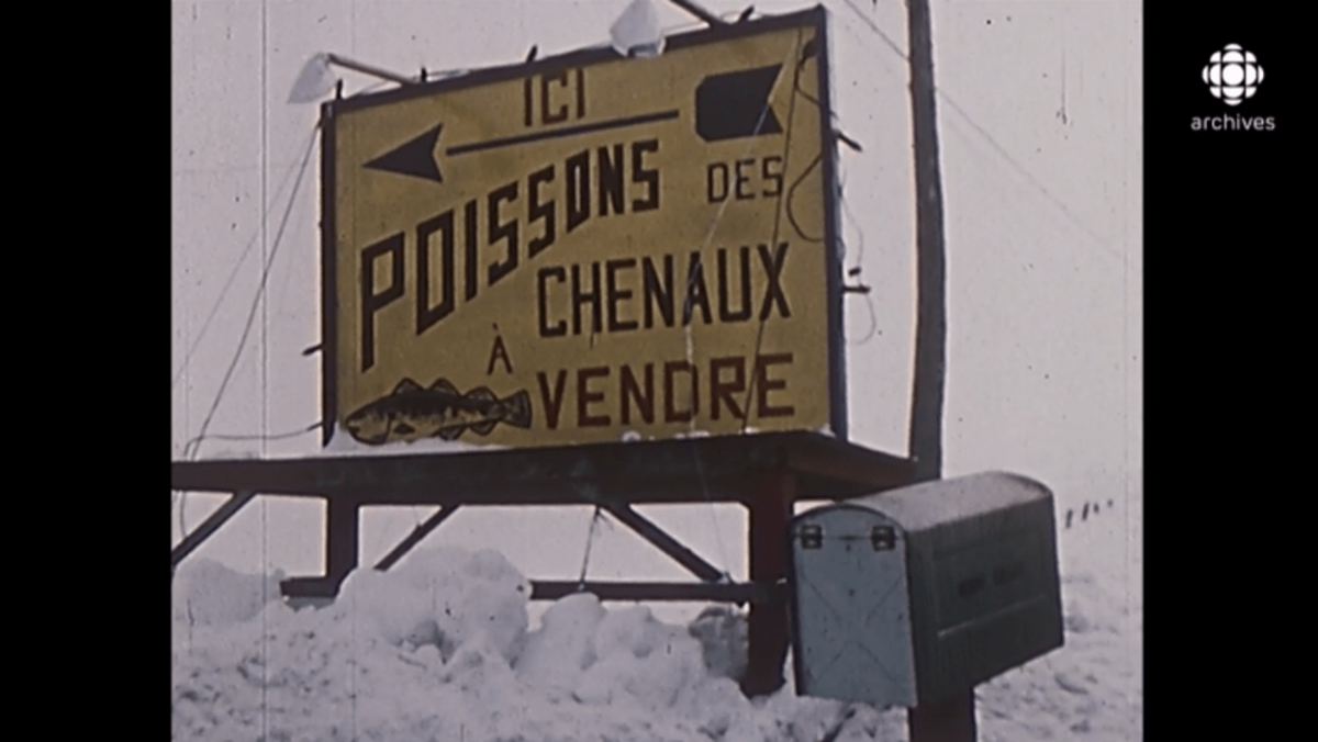 80 ans de pêche aux petits poissons des chenaux en Mauricie ...