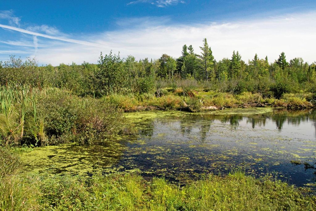 60 hectares de la tourbière de Saint-Joachim protégés - Patrimoine Drummond