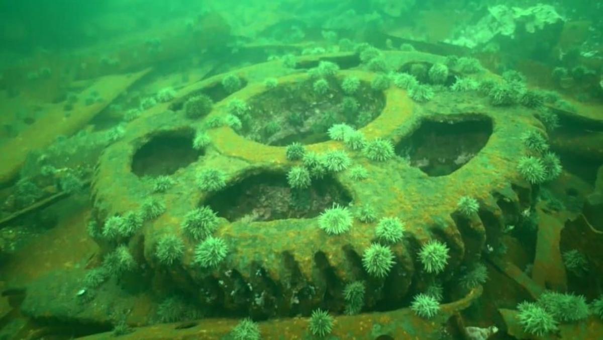 Une expédition pour cartographier l'emplacement du naufrage du HMS ...