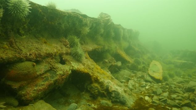 La route des épaves : à la découverte d’un patrimoine méconnu ...